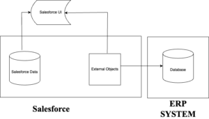 Salesforce Basic Data Model Explained Clearly