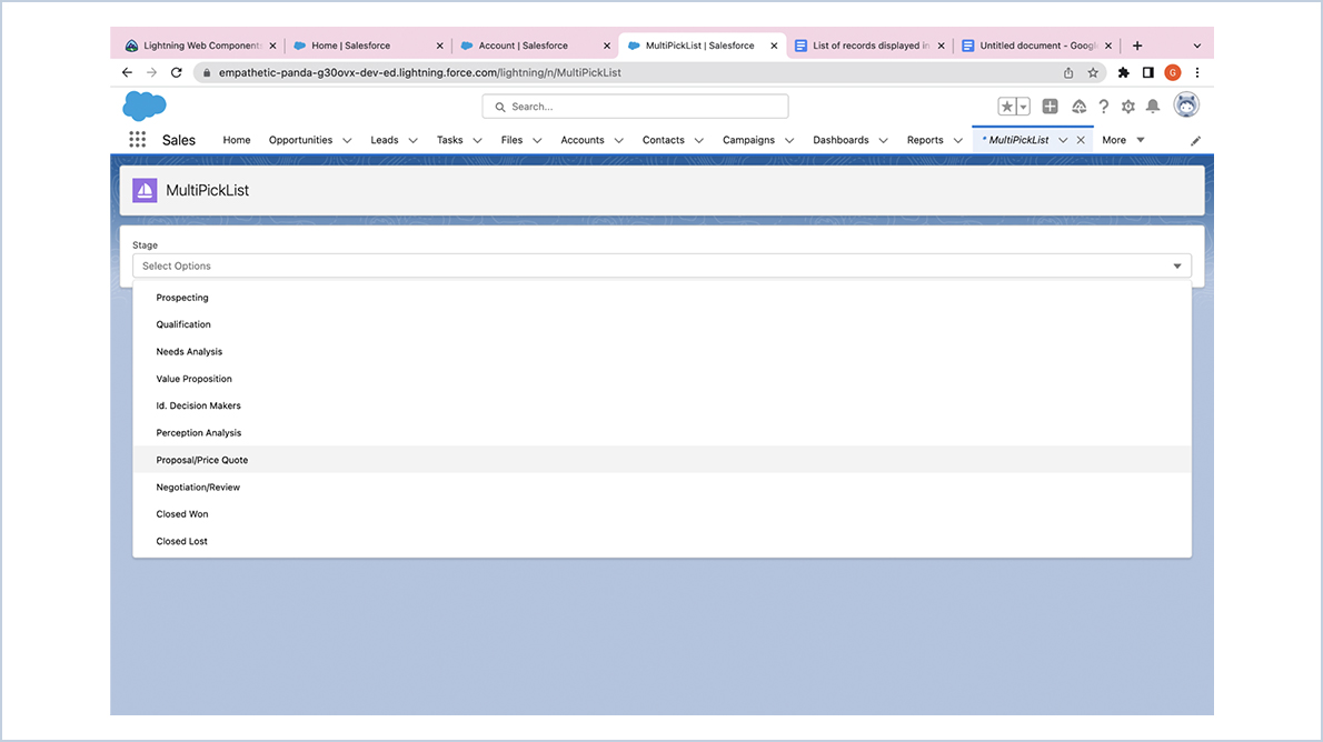 Multiple Selections on a Drop-Down List Guide